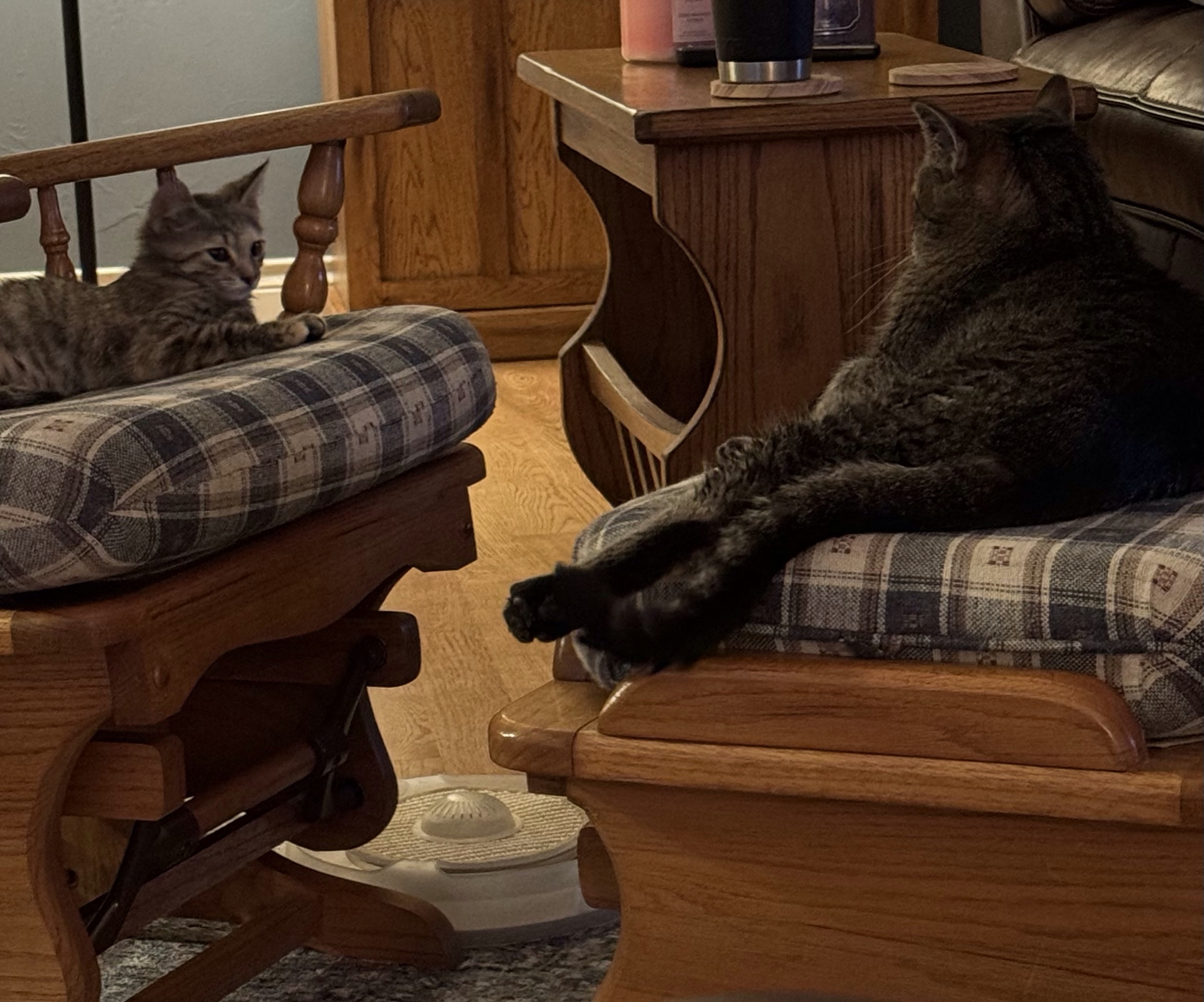 Lessons From Max and Millie – Tiffany Painter